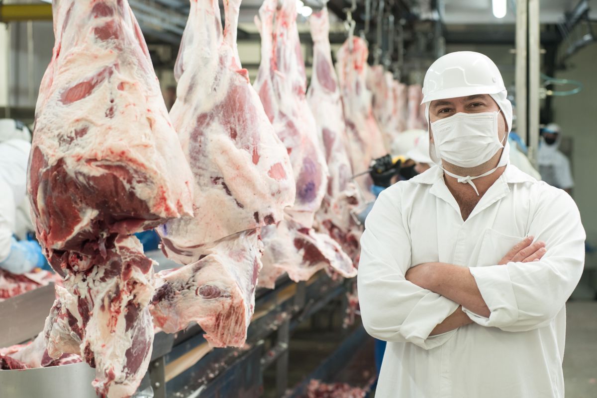 About us | Frigoestrela